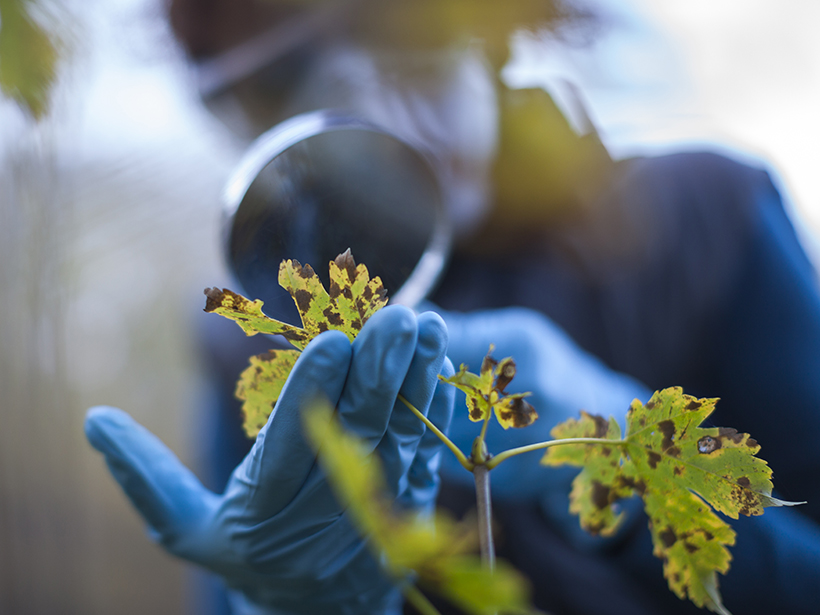 Climate Research Funding Still Under Threat, Report Warns - Eos Climate Research Funding Still Under Threat, Report Warns - Eos