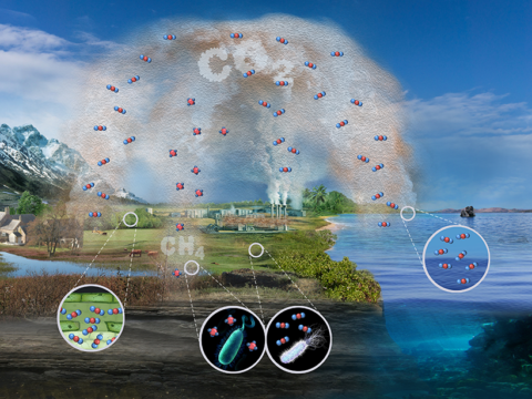 The Future of the Carbon Cycle in a Changing Climate - Eos
