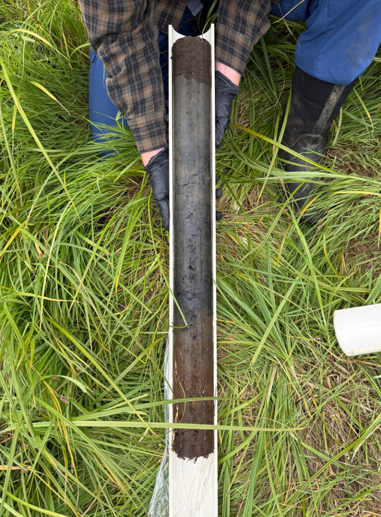 Blending Science and Indigenous Knowledge to Tell an Estuary’s Story - Eos